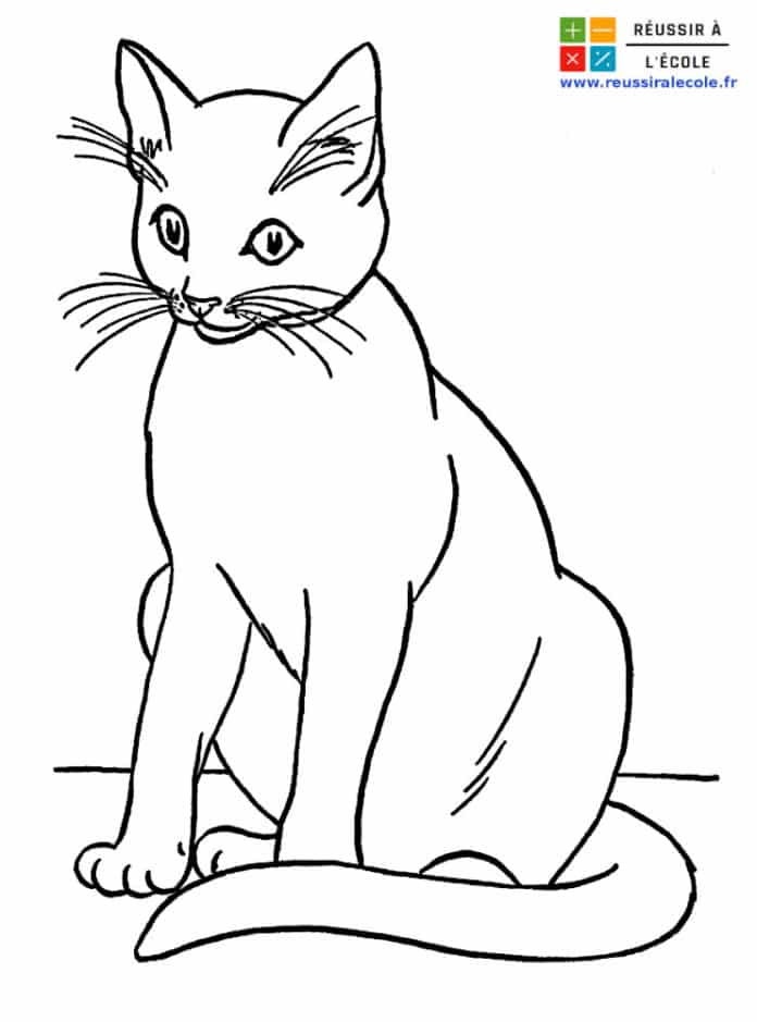 Coloriage Chat | 40 images à imprimer et à colorier gratuitement