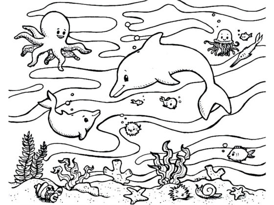 Coloriage Animaux Marins : 30 images à imprimer gratuitement