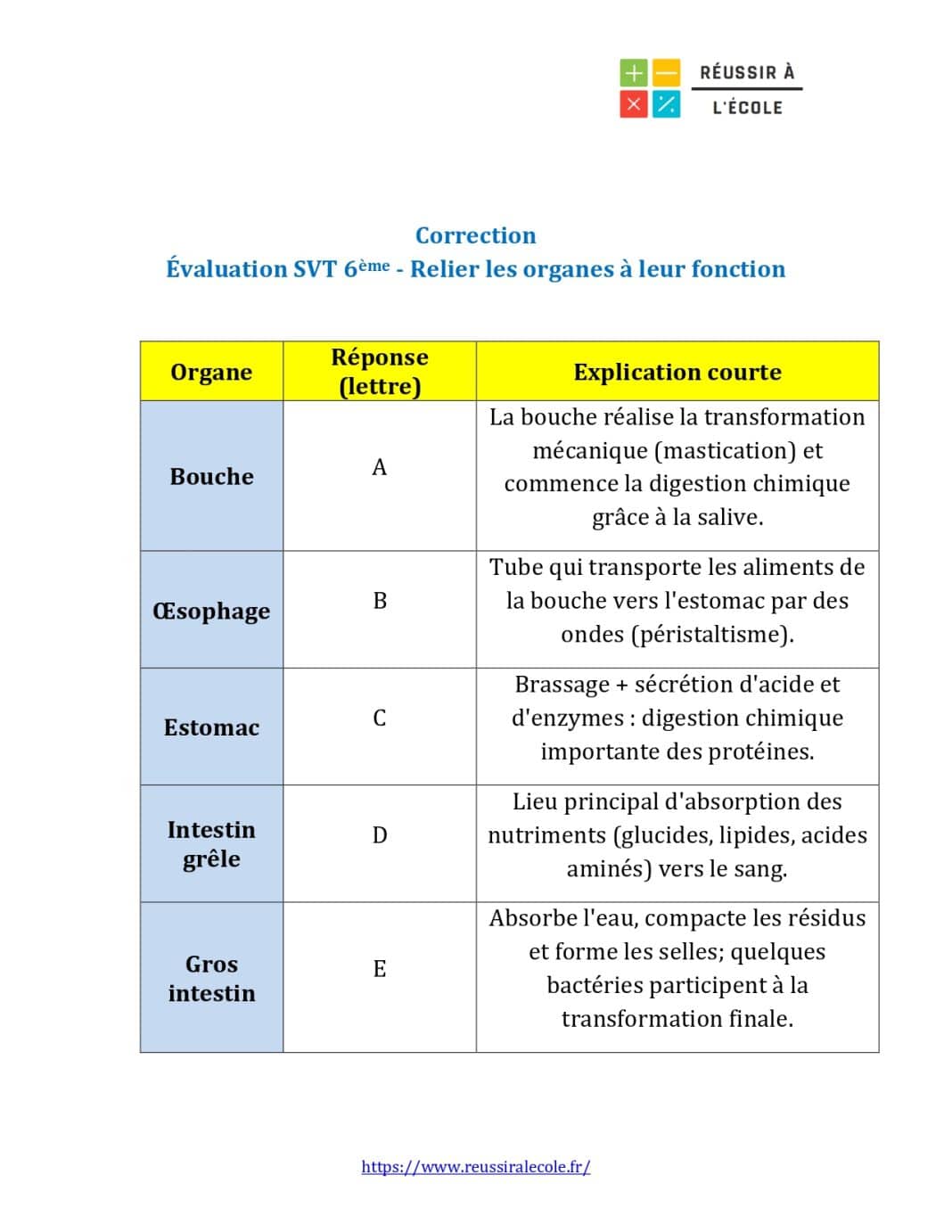 Évaluation SVT 6ème Alimentation Humaine PDF avec Correction